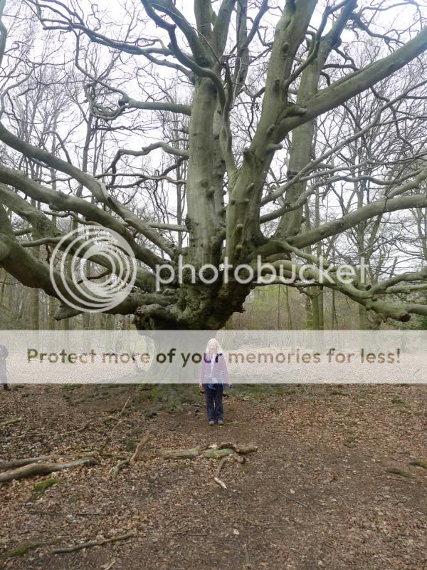 My best pic of the day