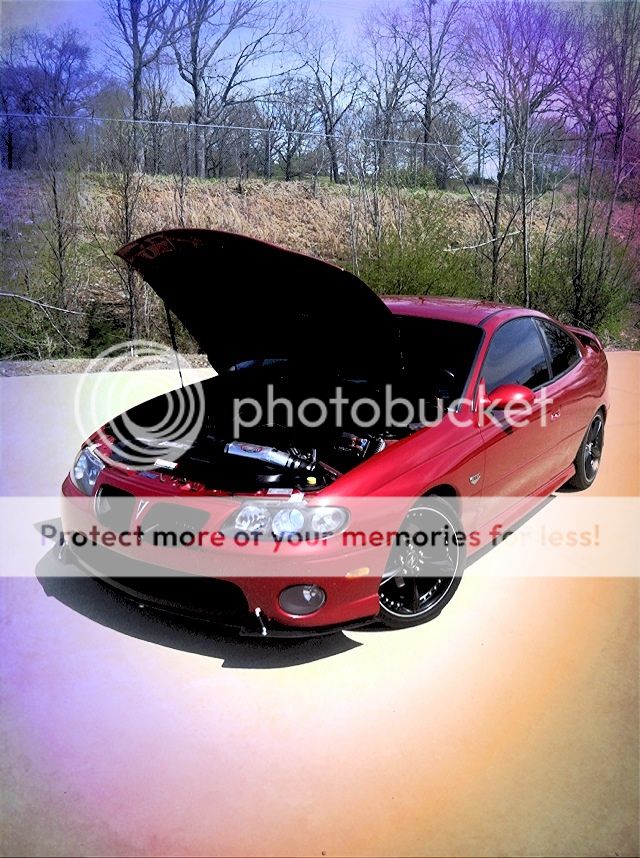 Pics of the GTO | LS1GTO Forums