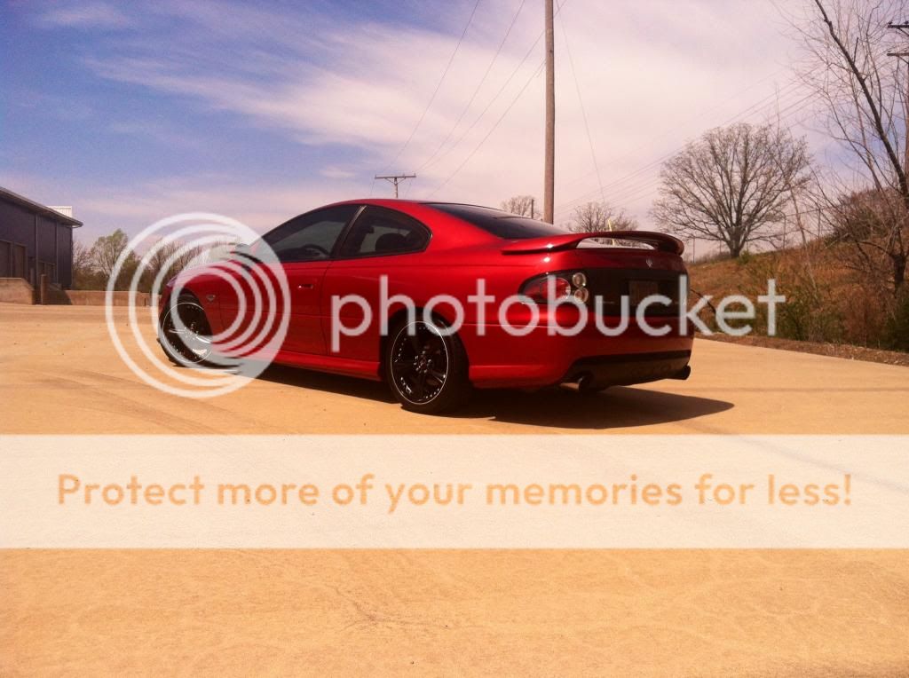 Pics of the GTO | LS1GTO Forums